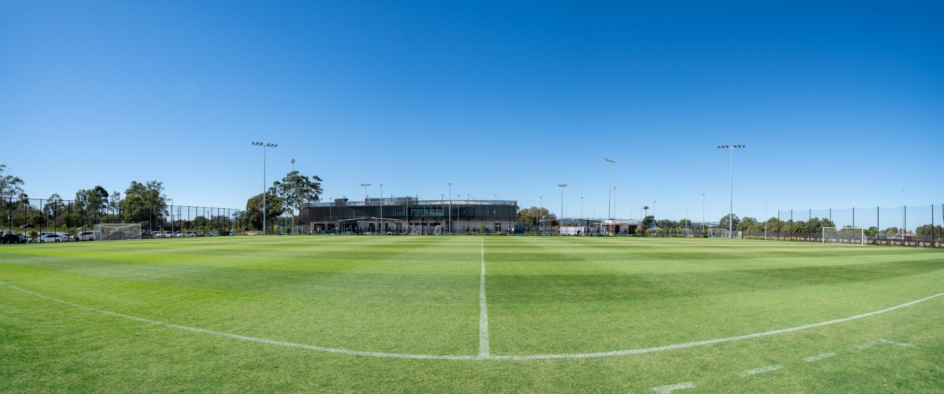 Considerations for choosing turf for community vs. elite sports fields