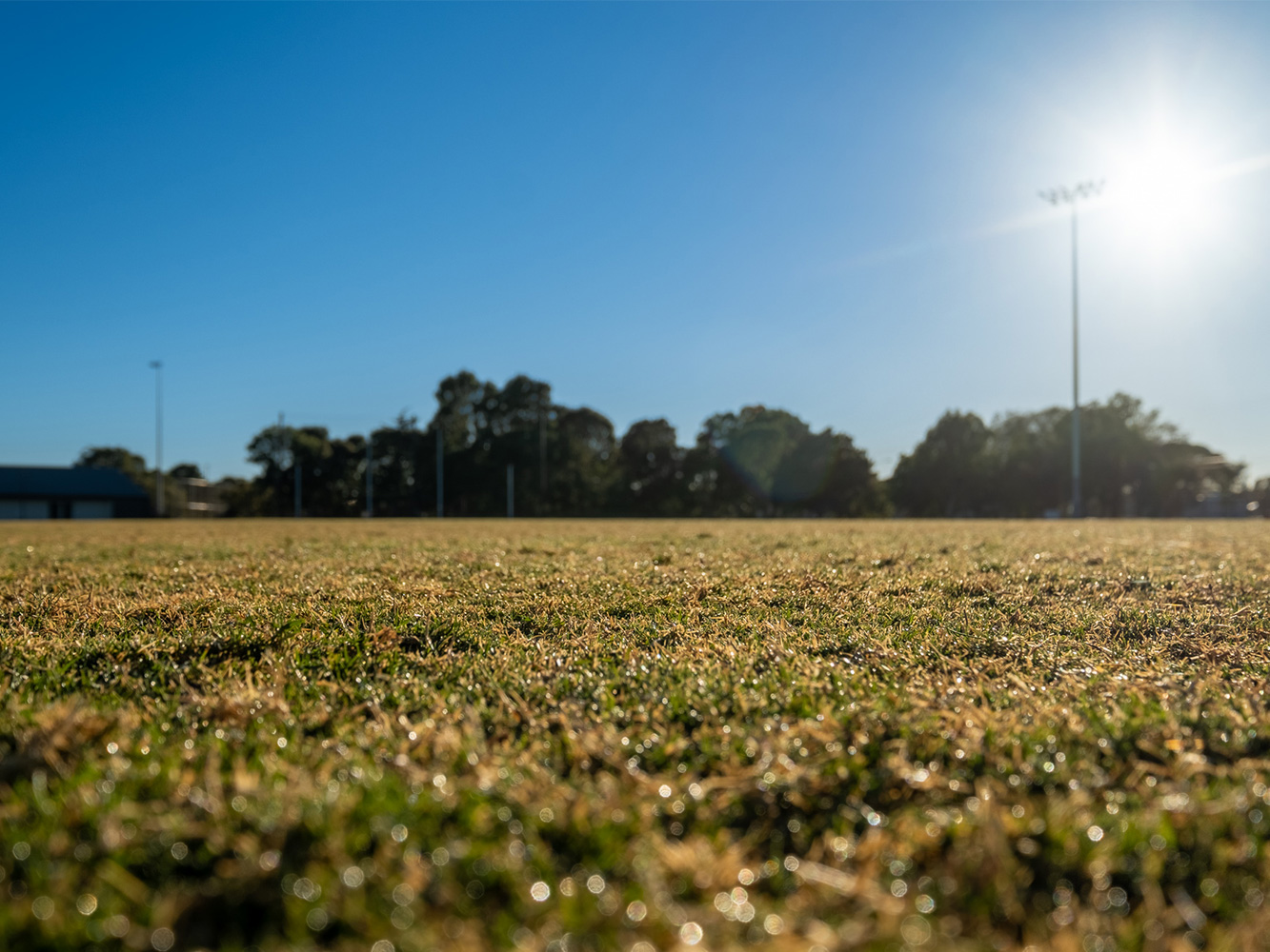 Unlocking the true value of independence in sportsfield design
