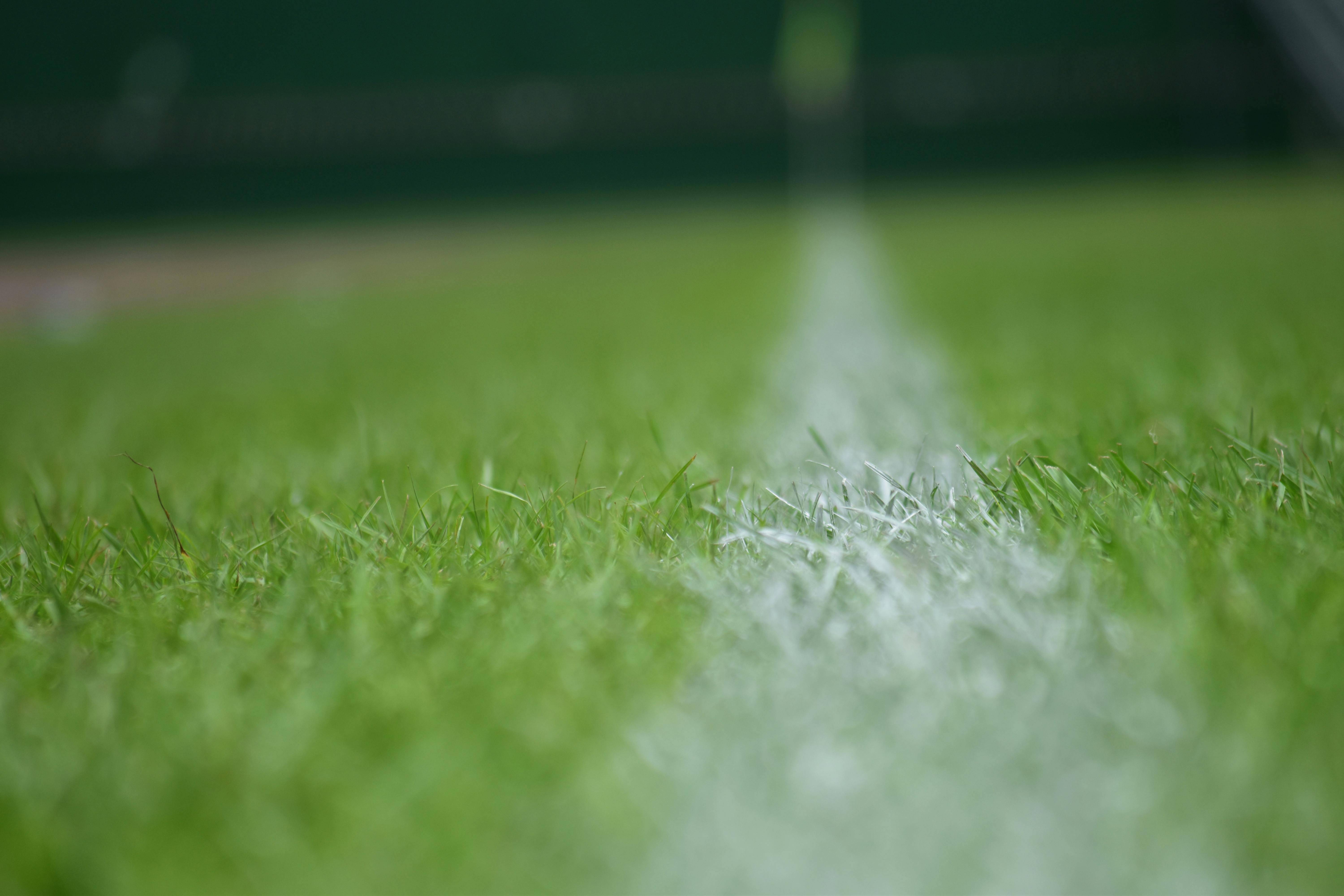 Organic Amendments and Turf Establishment: What We Learned
