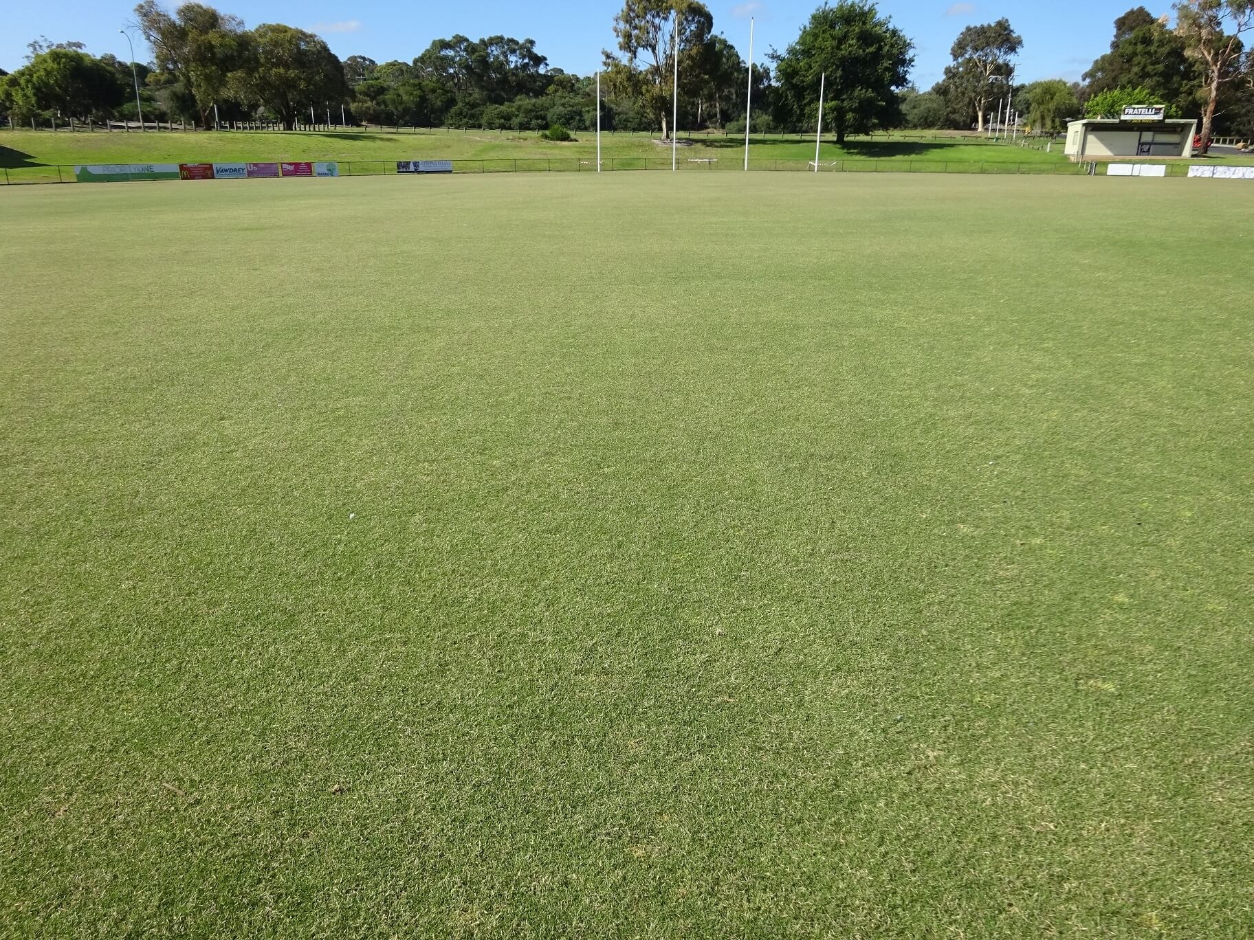 How to maintain your natural turf sports field?