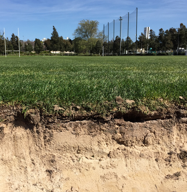 What is Turfgrass Agronomy?